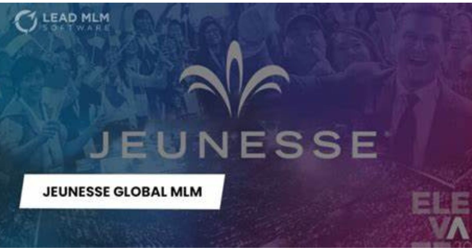 Jeunesse MLM Review